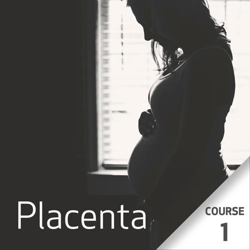 Introduction to Blood Stasis Through the Phases of a Woman’s Life ...