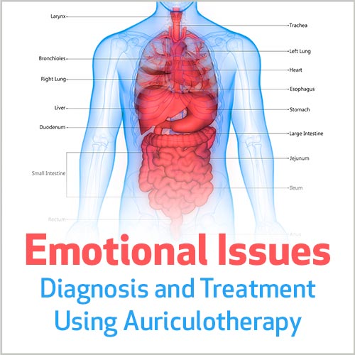 Instant Pain Relief with Akabane Needles in Auriculotherapy – China ...