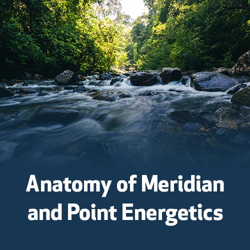 Practical Application of the Eight Extraordinary Meridians – China ...